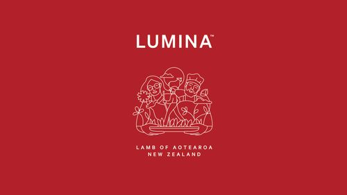 ThoughtFull™ | Projects | Lumina